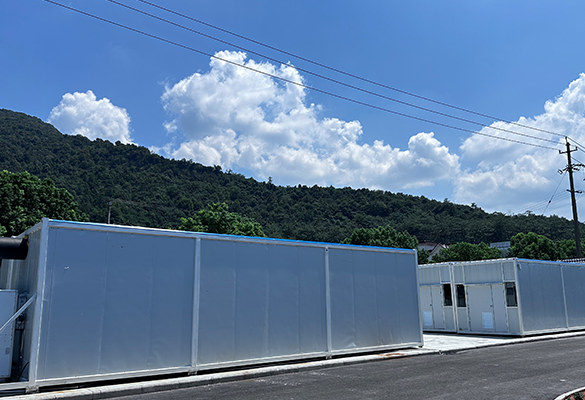 AIFARMARK｜Edible Fungus Cultivation Service Platform